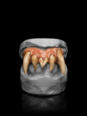 Handcrafted Orc teeth from alphabite | Made in Germany