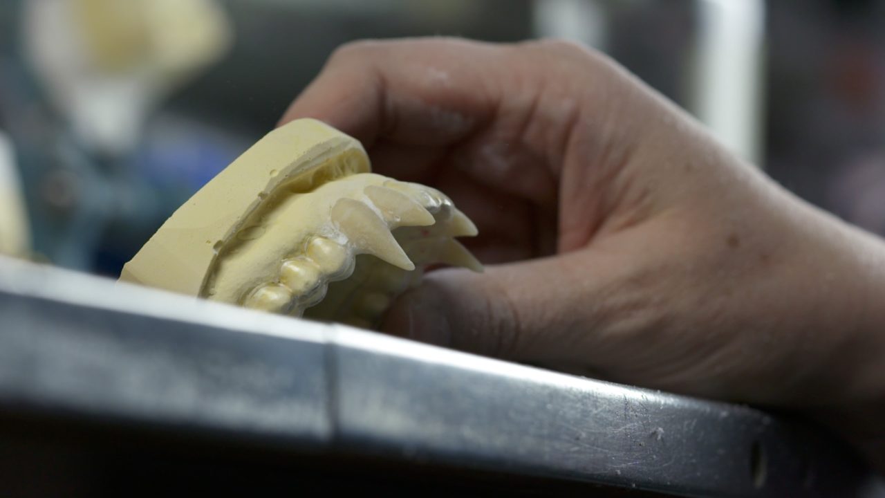 Professional sfx teeth for pro demands - alphabite